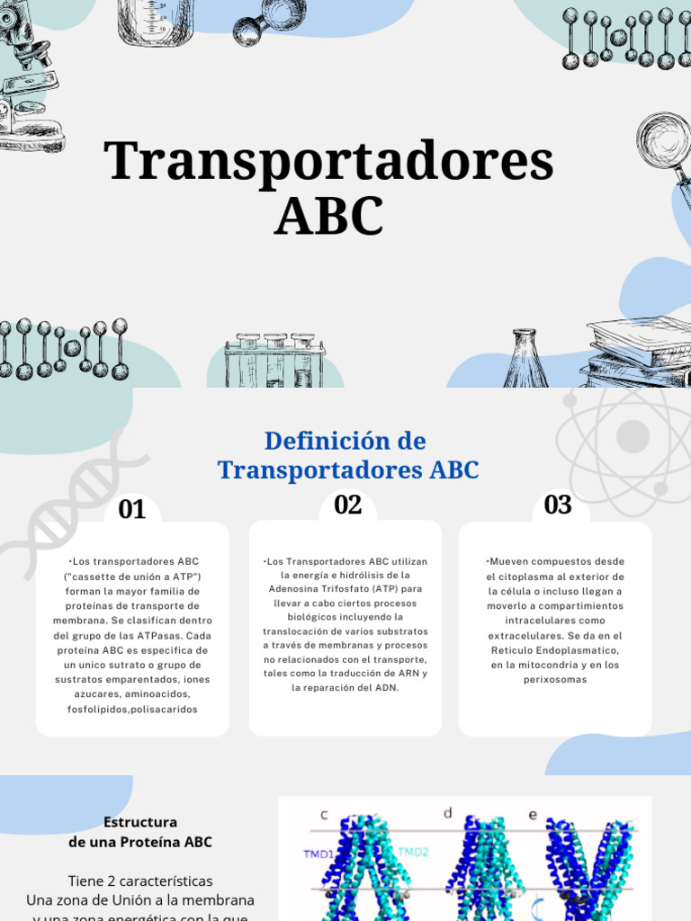 Transportadores ABC y Resistencia Farmacológica | PDF | Farmacología ...