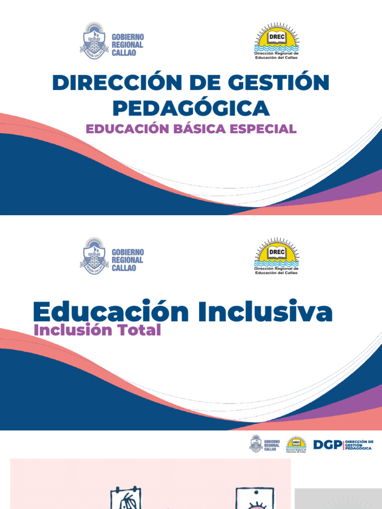 DREC-Educación Inclusiva | PDF | Inclusión (Educación) | Pedagogía