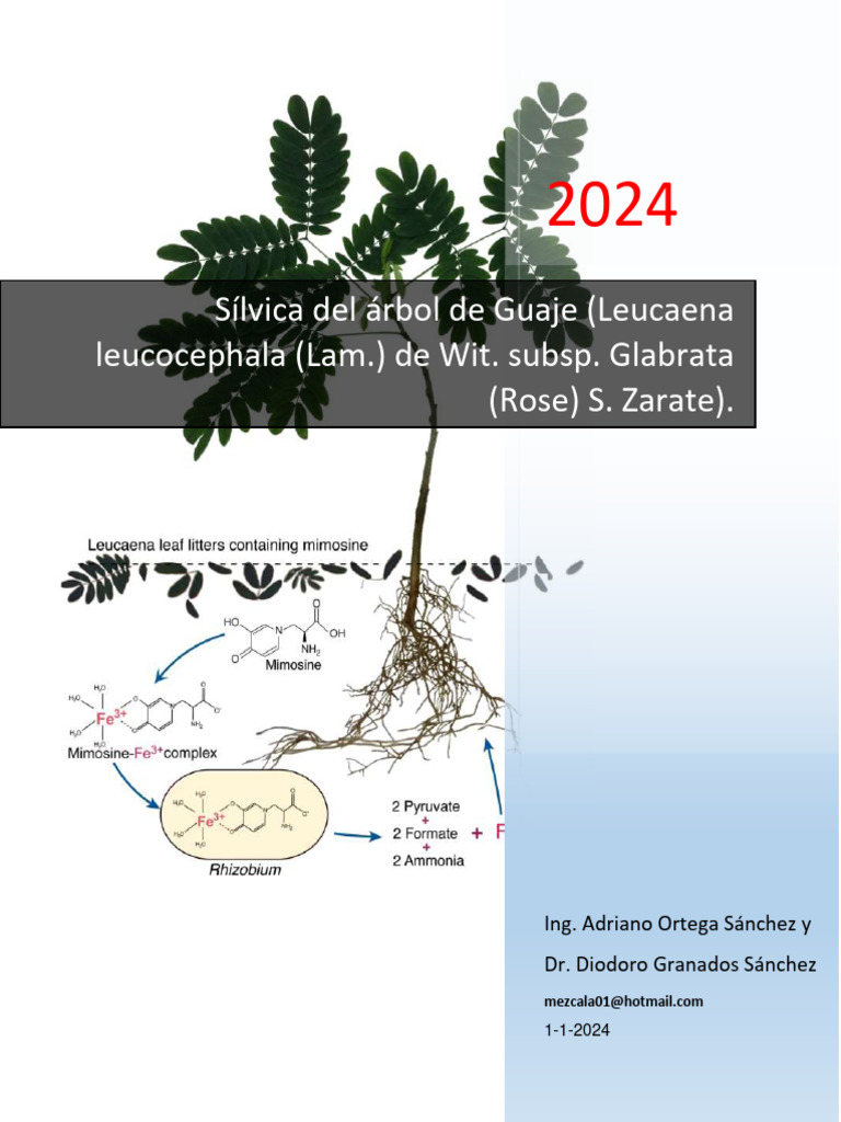 028 Silvica de Guaje | PDF | Botánica | Plantas