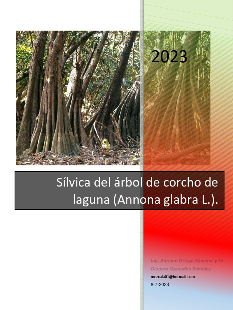 053 Silvica corcho de laguna | PDF | Germinación | Semilla