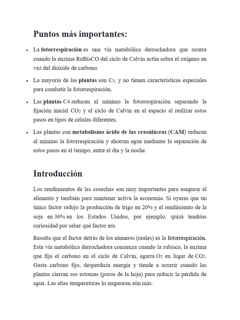 PLANTAS C3 C4 CAM | PDF | Fotosíntesis | Biología