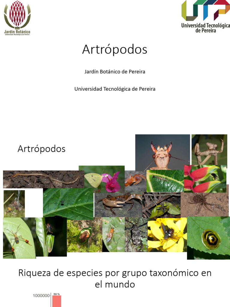 Características y Evolución de Artrópodos | PDF | Hogar, jardinería y ...