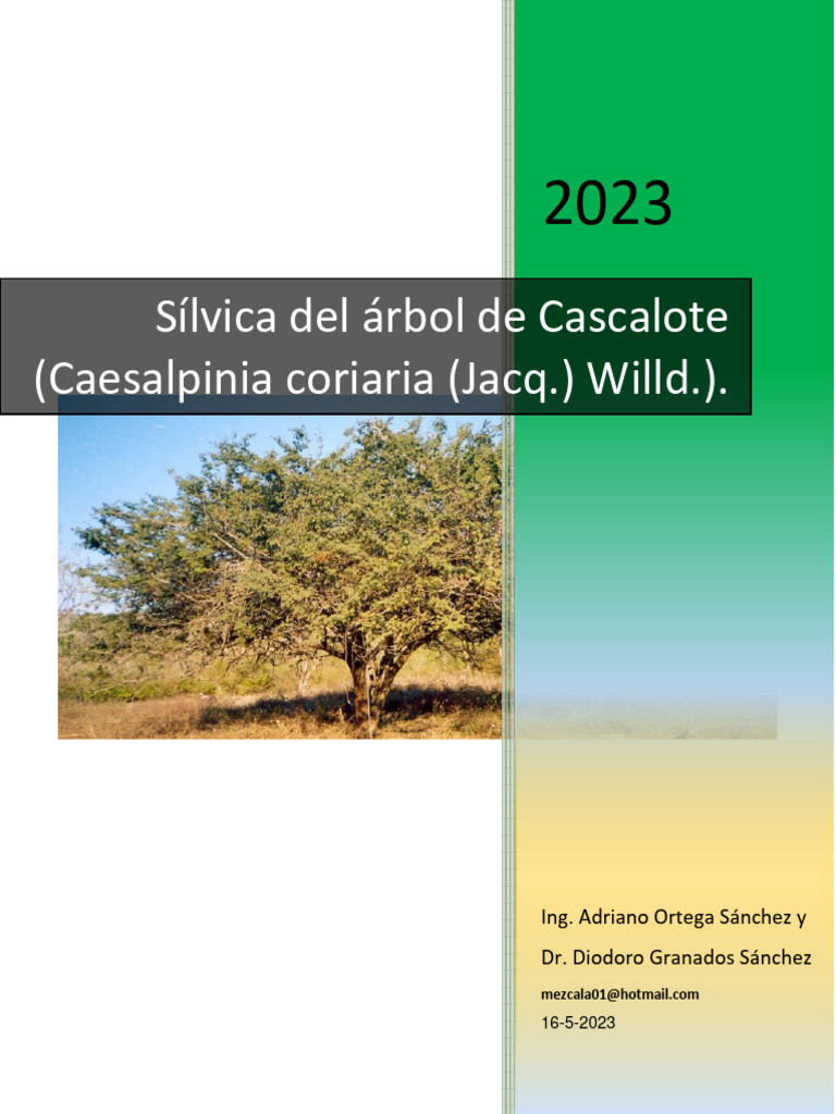 034 Silvica de Cascalote | PDF | Germinación | Arboles