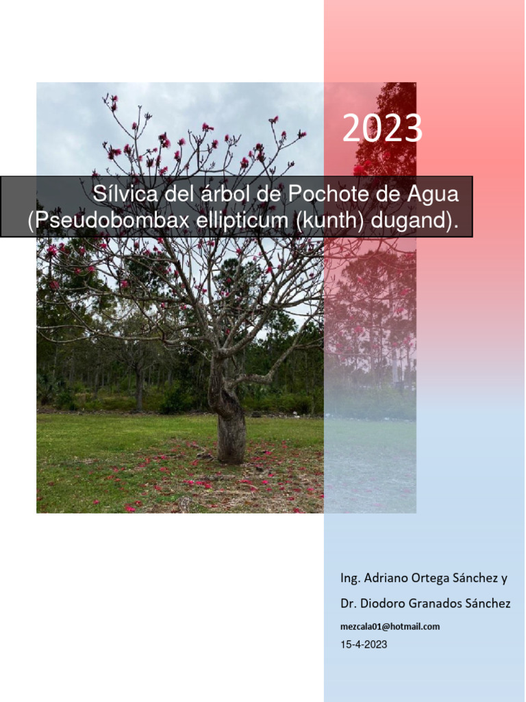 038 Silvica de Pochote de Agua | PDF | Arboles | Semilla