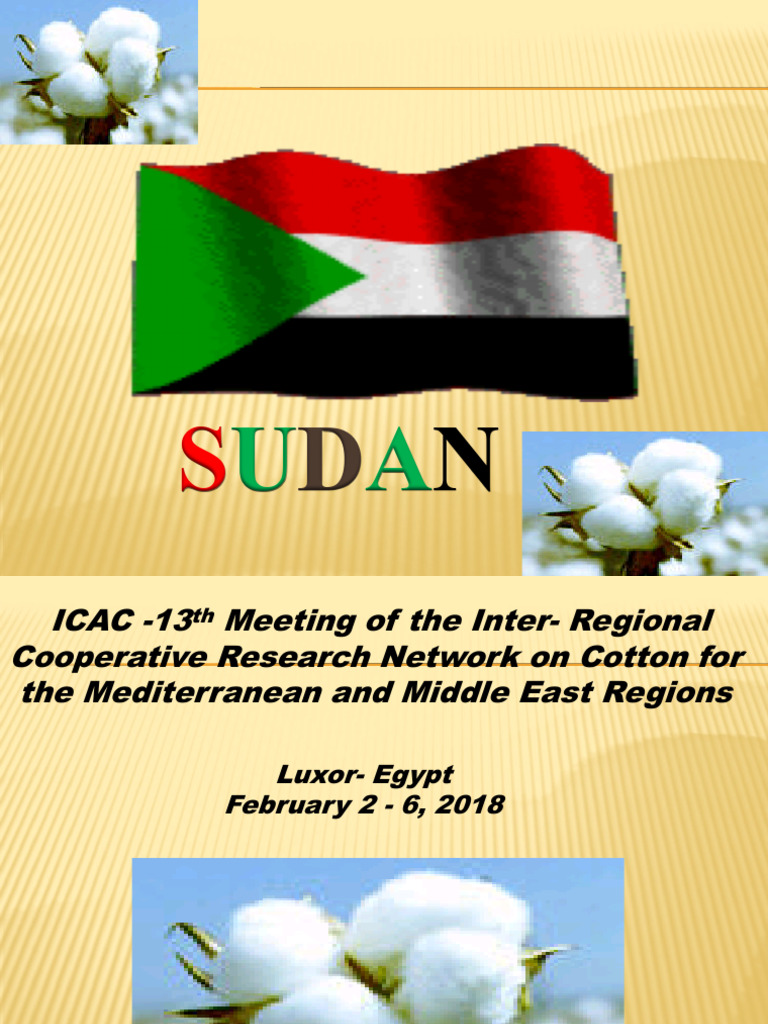 Cotton Grades and Quality Parameters As Affected by Boll Position | PDF ...