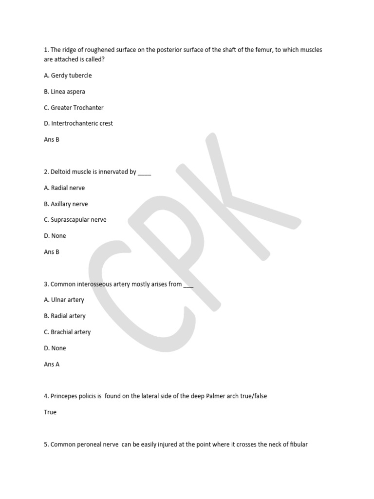 Anatomy Mcqs Batch 2 Cpk Pdf Human Leg Arm 