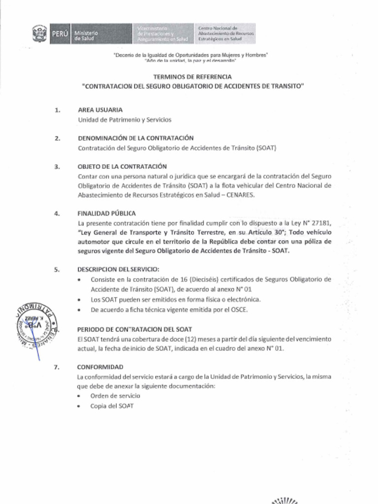 TDR - SOAT.pdf (1) | PDF