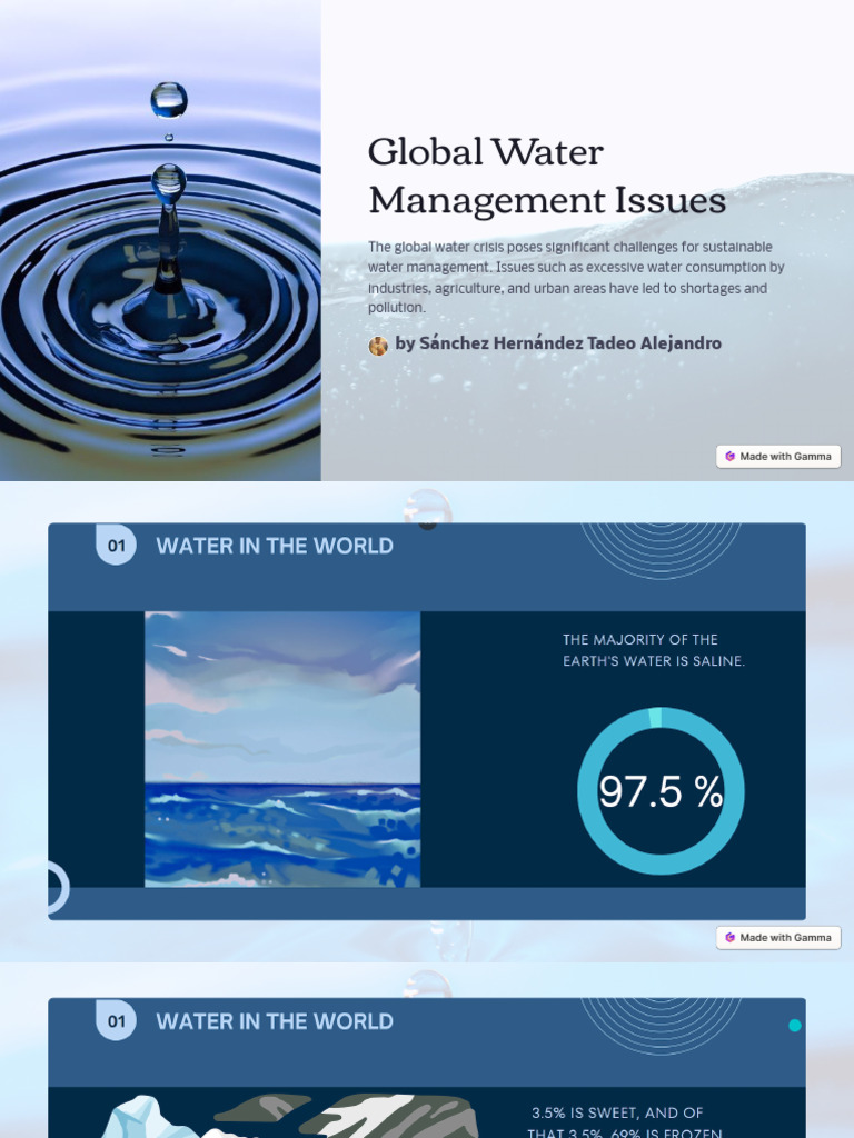 Global Water Management Challenges | PDF | Water Resources | Water