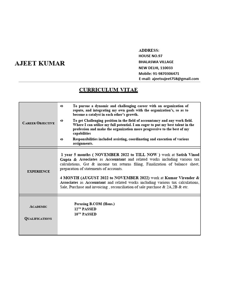 Ajeet CV | PDF | Accounts Payable | Business