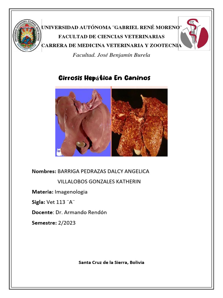 Cirrosis Hepatica Imagenologia Informe NUEVO.1 | PDF | Cirrosis | Hígado