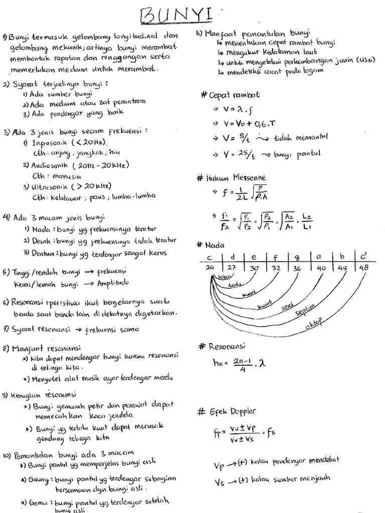 ringkasan BUNYI | PDF