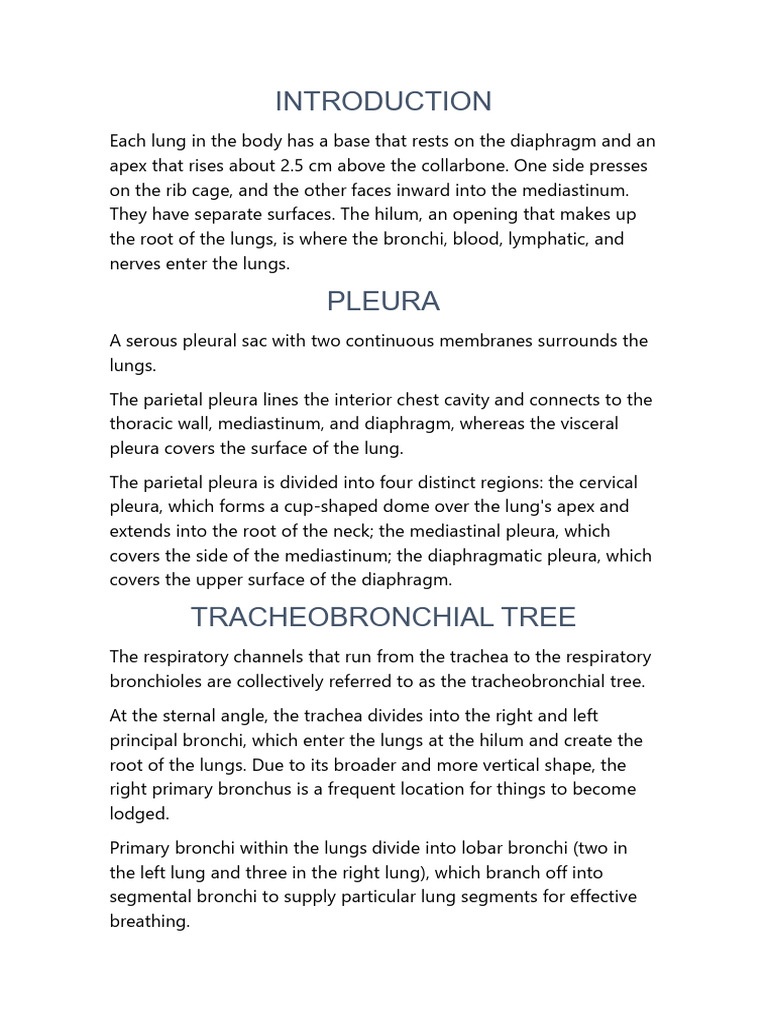 Parts of The Lungs | PDF