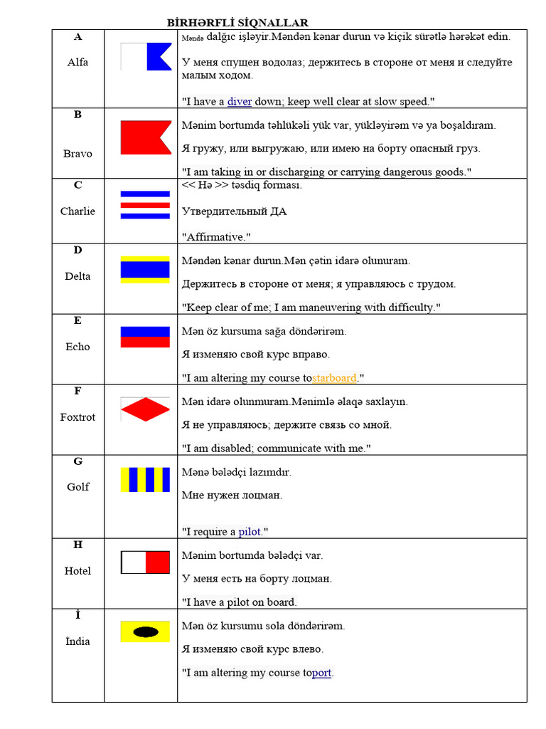 Flags_ | PDF