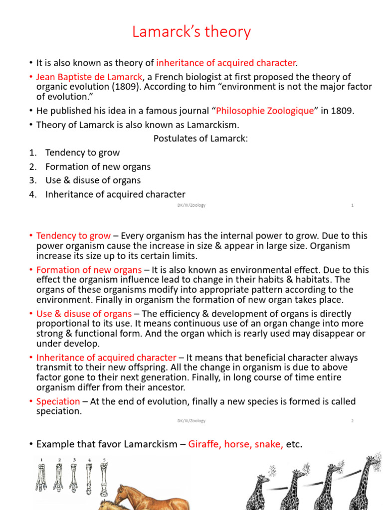 Lamarck’s Theory | PDF | Evolution | Biology