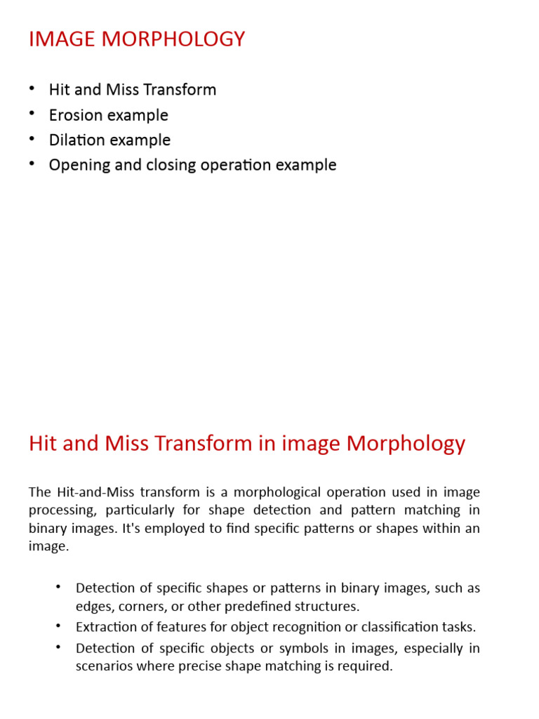Hit & Miss Morphology | PDF | Teaching Methods & Materials