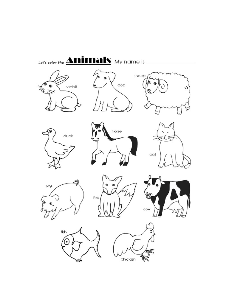 Rammar Explanation | Download Free PDF | Noun | Linguistic Typology