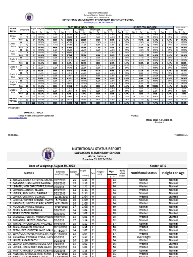 Salvacion Es Baseline Nutritional Status Sy 2023 2024 | PDF | Body Mass ...