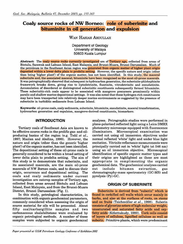 Source Rocks NW Borneo | PDF | Sedimentary Rock | Shale