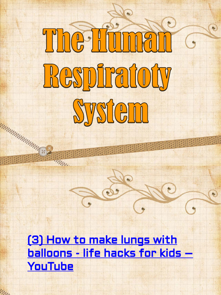 Human Respiratory System | Download Free PDF | Breathing | Respiratory System