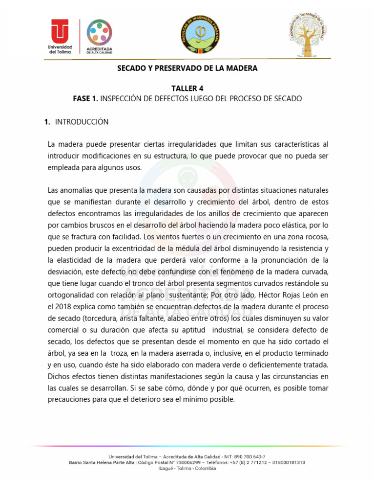 Inspección de Defectos en Madera | PDF | Madera