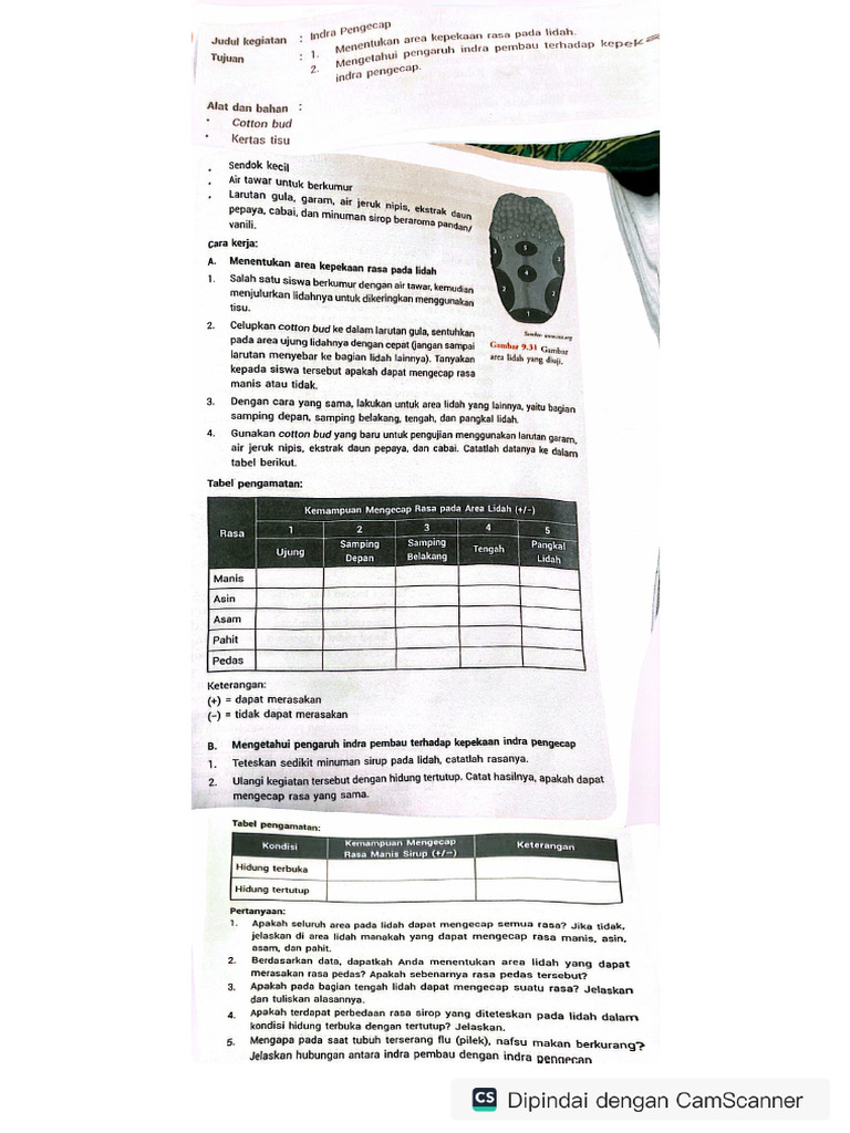 Revisi Pdf