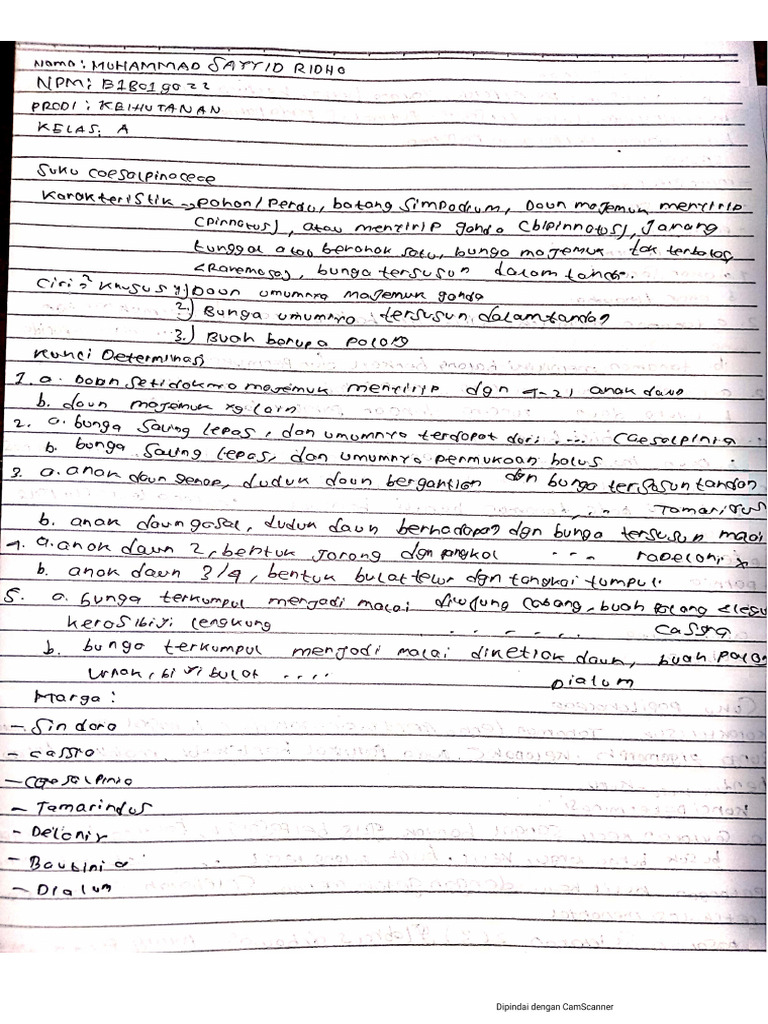 Kelompok Bunga Rosaceae | PDF