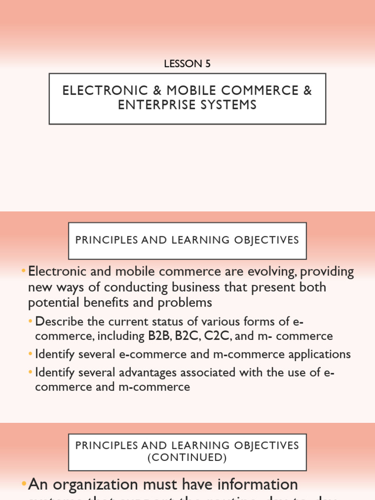 05 Electronic Mobile Commerce Enterprise Systems | PDF | Enterprise ...
