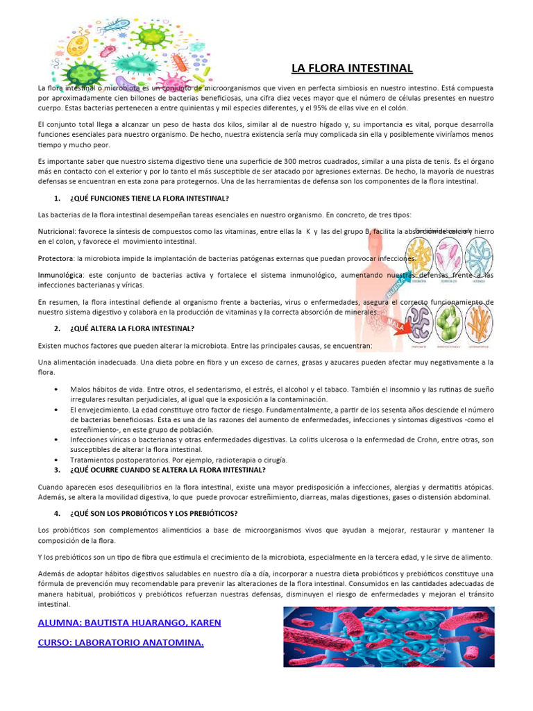 Qué Es La Flora Intestinal | PDF | Sistema inmune | Las bacterias