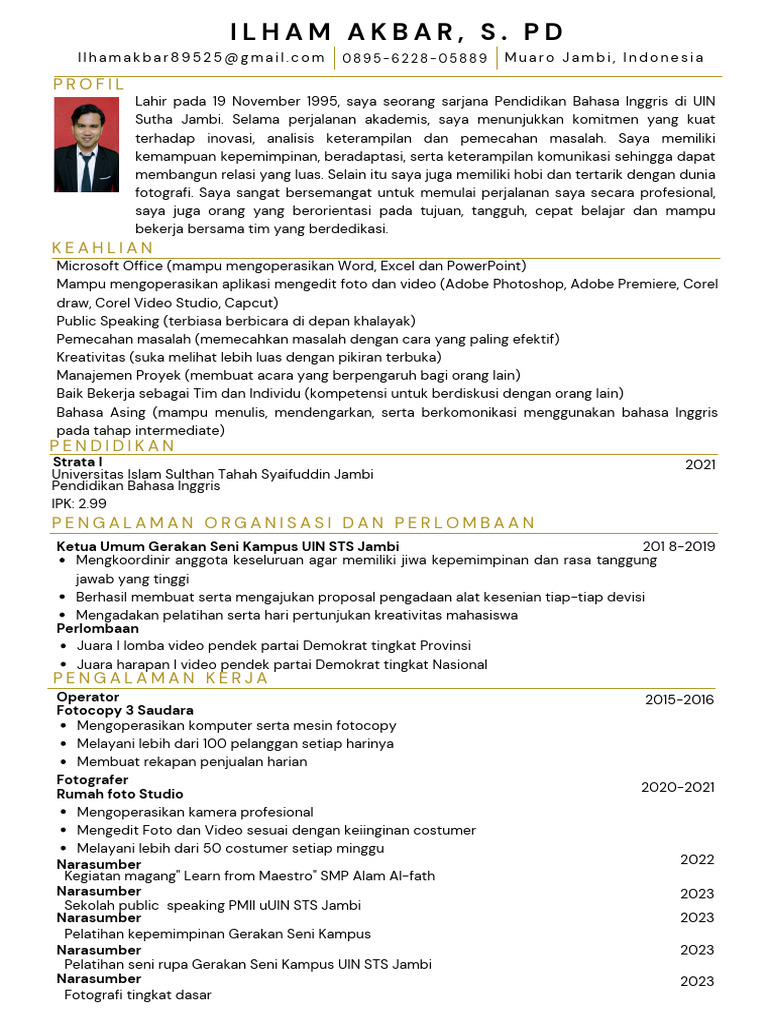 White Gold Elegant Minimalist Data Analyst Resume CV A4 Printable ...