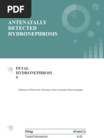 UTD Classification for Radiologists | PDF | Radiology | Urology