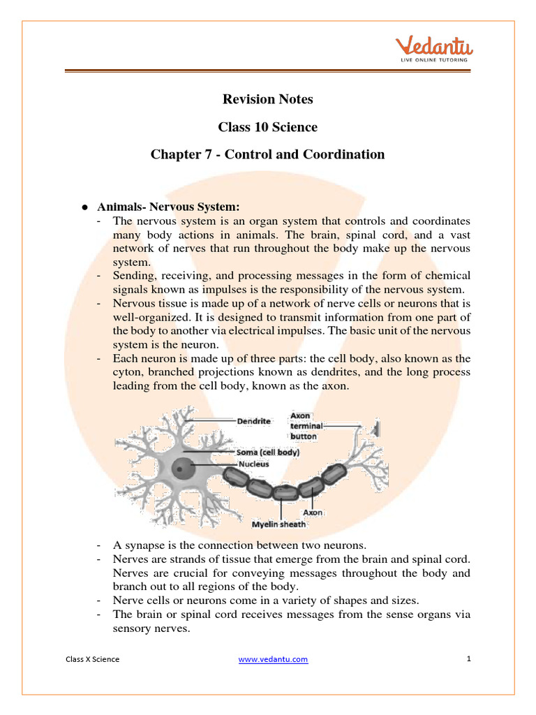 Cbse Class 10 Science Notes Chapter 7 Control and Coordination ...