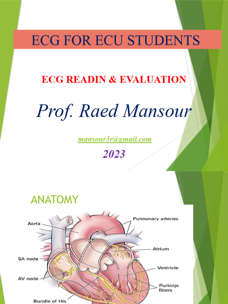 1 ECG CHIN 65-2023 Basic ECG For Physiotherapy Student | PDF | Electrocardiography | Cardiac ...