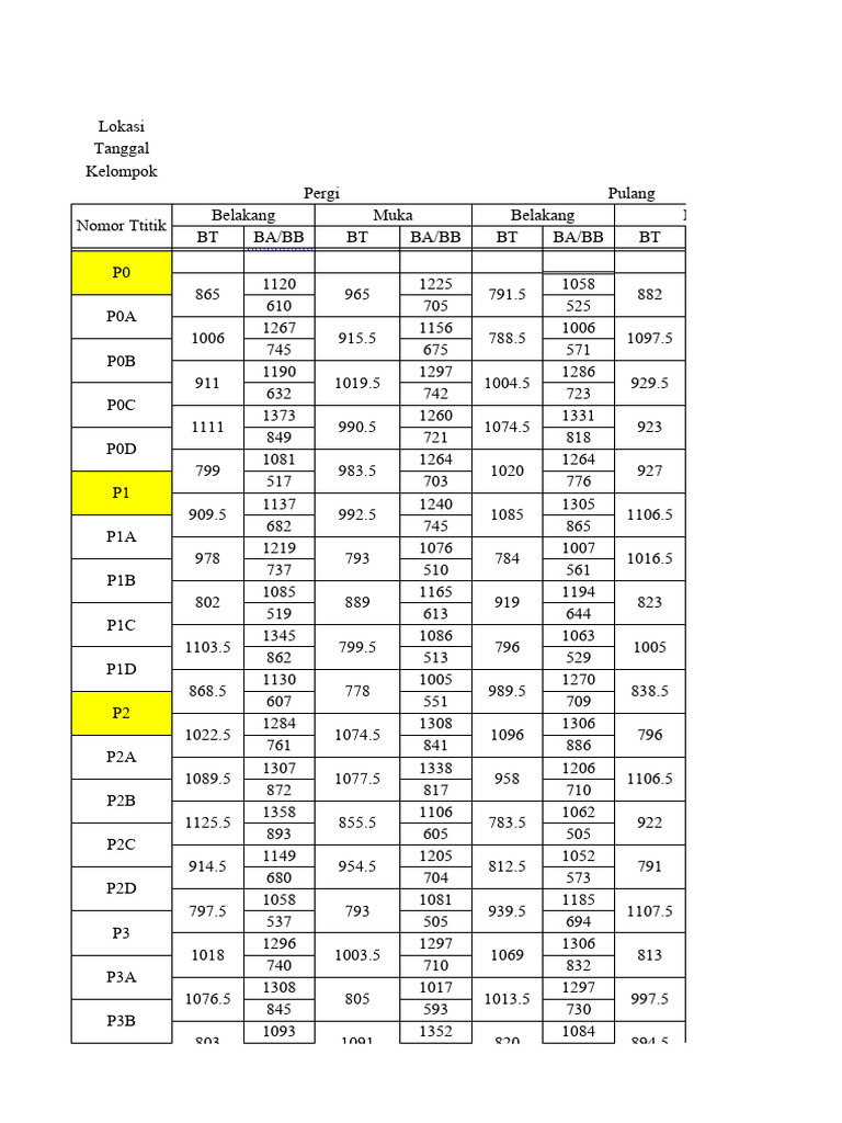 Data Hasil Pengukuran Waterpass Iut | PDF