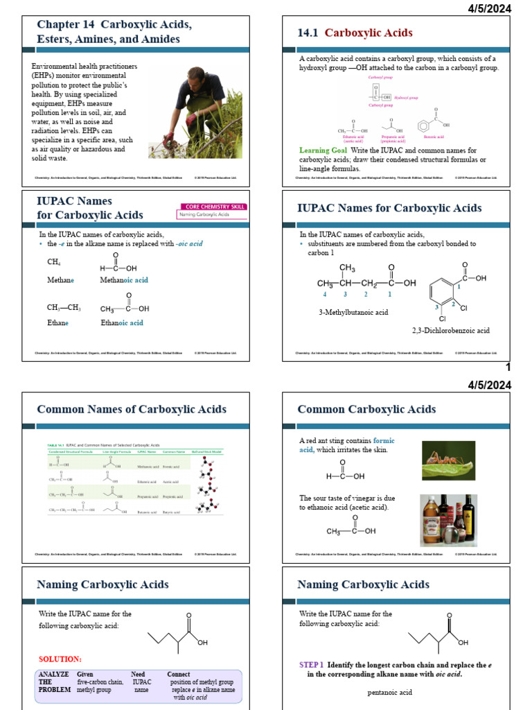 Chapter 14 Carboxylic Acids, Esters, Amines, and Amides 14.1 | PDF | Ester | Acid
