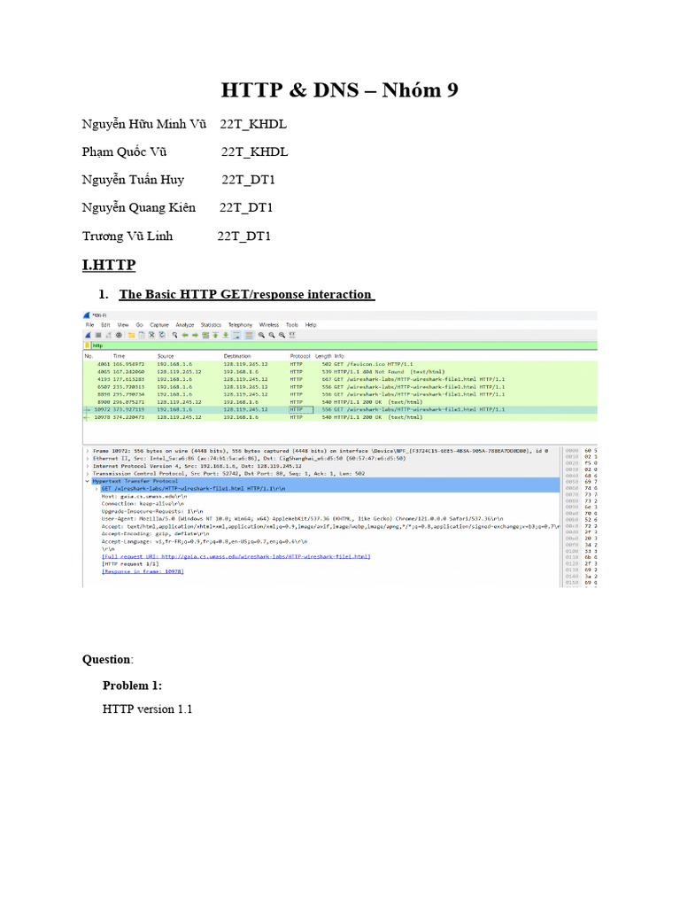 Nhom 9 | PDF | Domain Name System | Internet Protocols