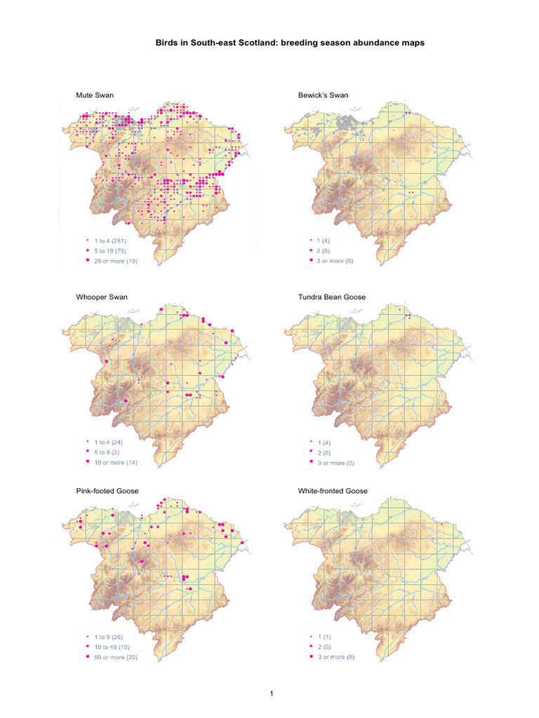 SESA2 Breeding Season Abundance Maps PDF | PDF | Goose | Birds
