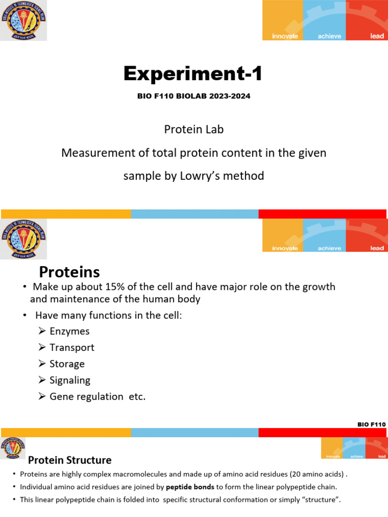 Protein Lab | PDF | Peptide | Protein Structure