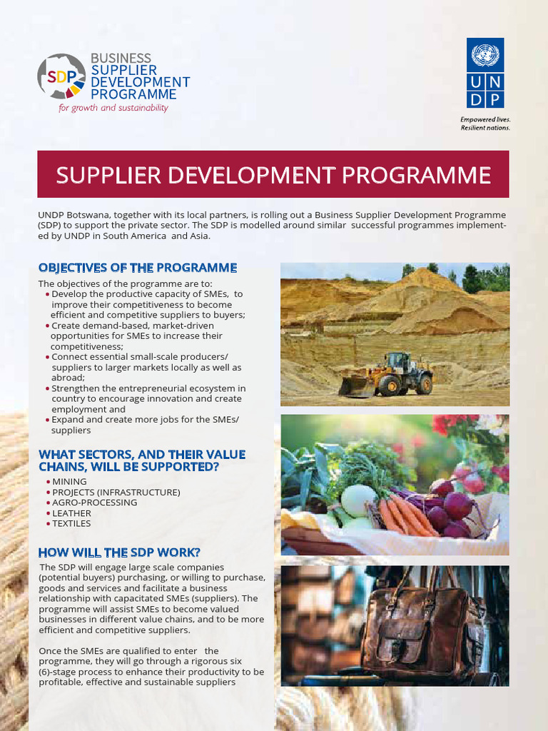 Botswana SDP Information Brochure | PDF | Supply Chain | Business Economics