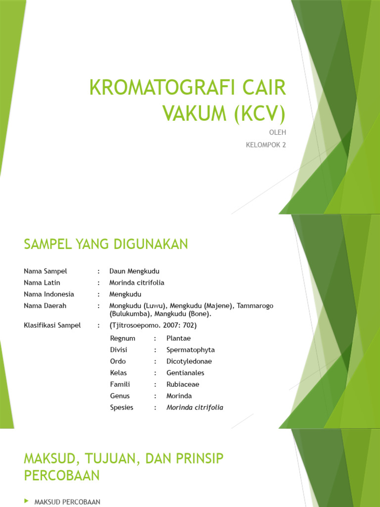 Kromatografi Cair Vakum (KCV) : Oleh Kelompok 2 | PDF