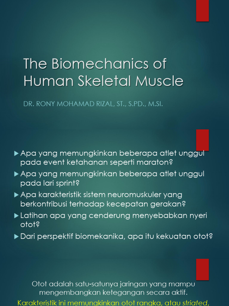 Pertemuan Ke 10 The Biomechanics of Human Skeletal Muscle (Part 1) | PDF