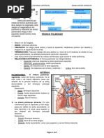 Conducto Torácico: Anatomía y Función | PDF | Tórax | Sistema linfático