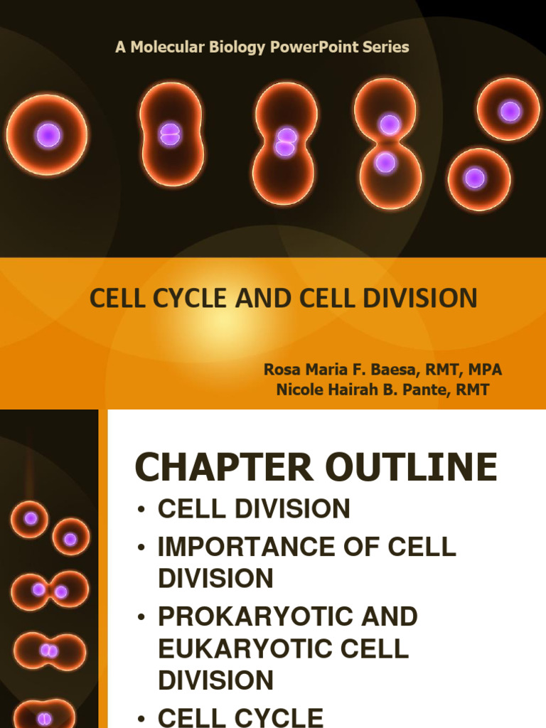 Cell Cycle and Cell Division | PDF | Ploidy | Mitosis