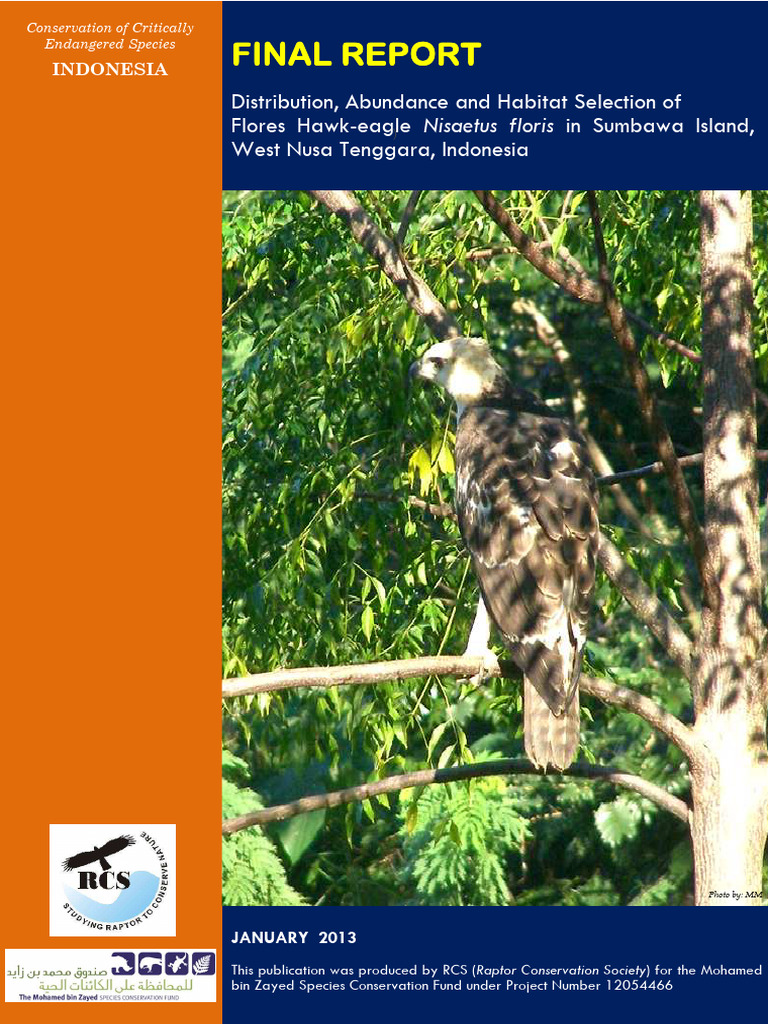 Final Report Sustainable Survey of Flores Hawk Eagle in West Sumbawa Island | Download Free PDF ...