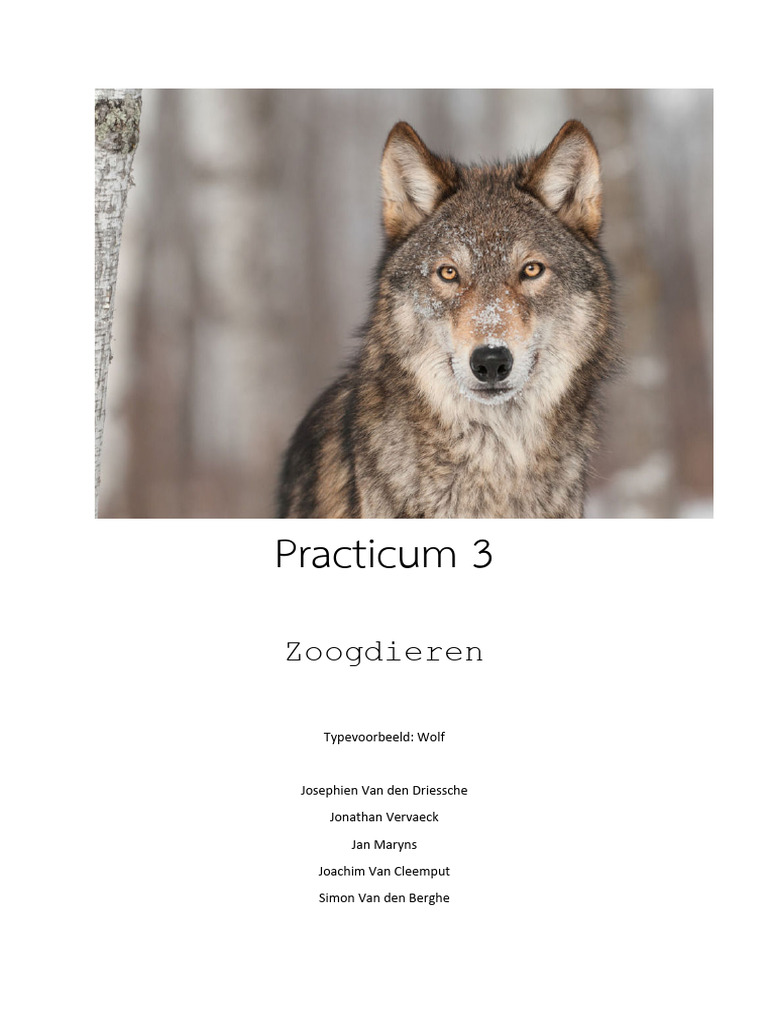 Practicum 3 | PDF