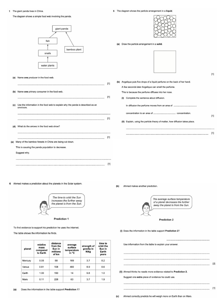 revision_4th term | PDF