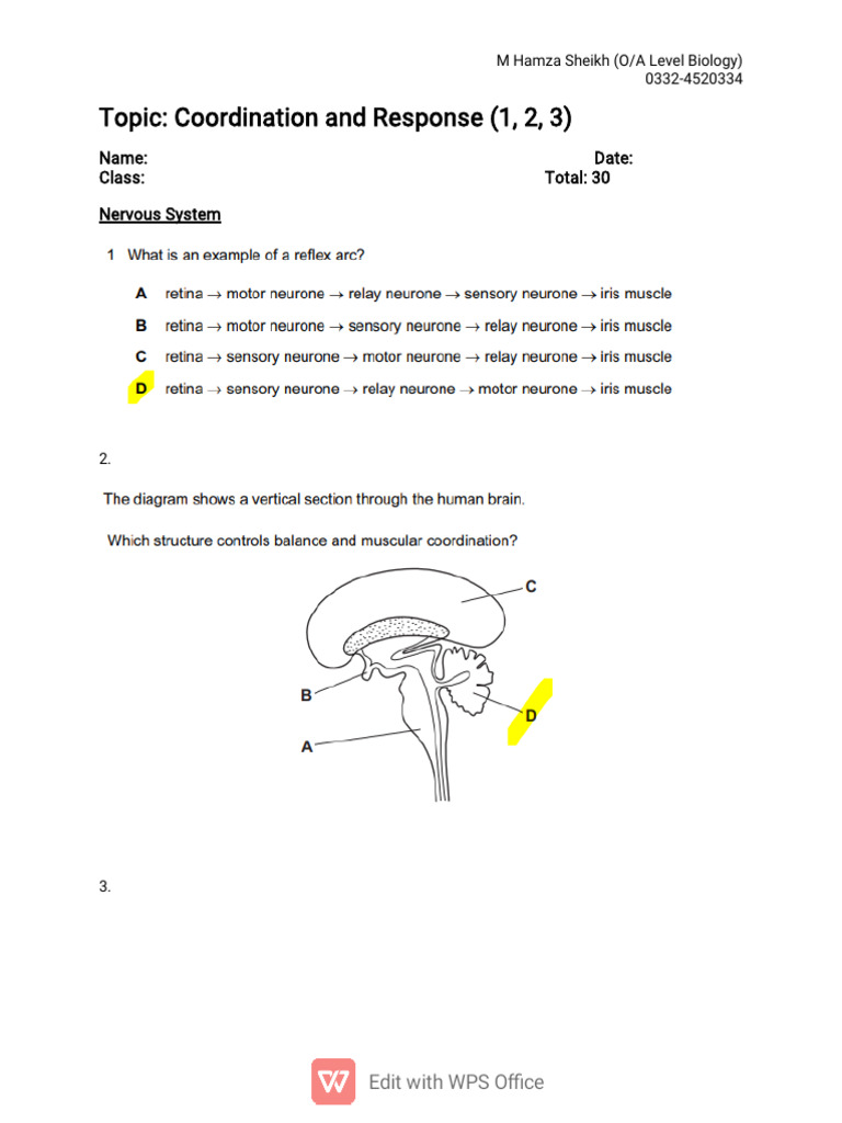 Coordination and Response Worksheet | PDF