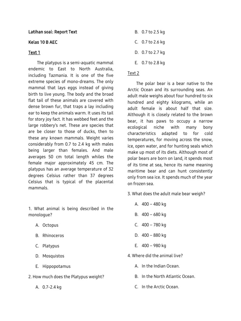 Latihan Soal Report Text 10b | PDF | Bears | Mammals