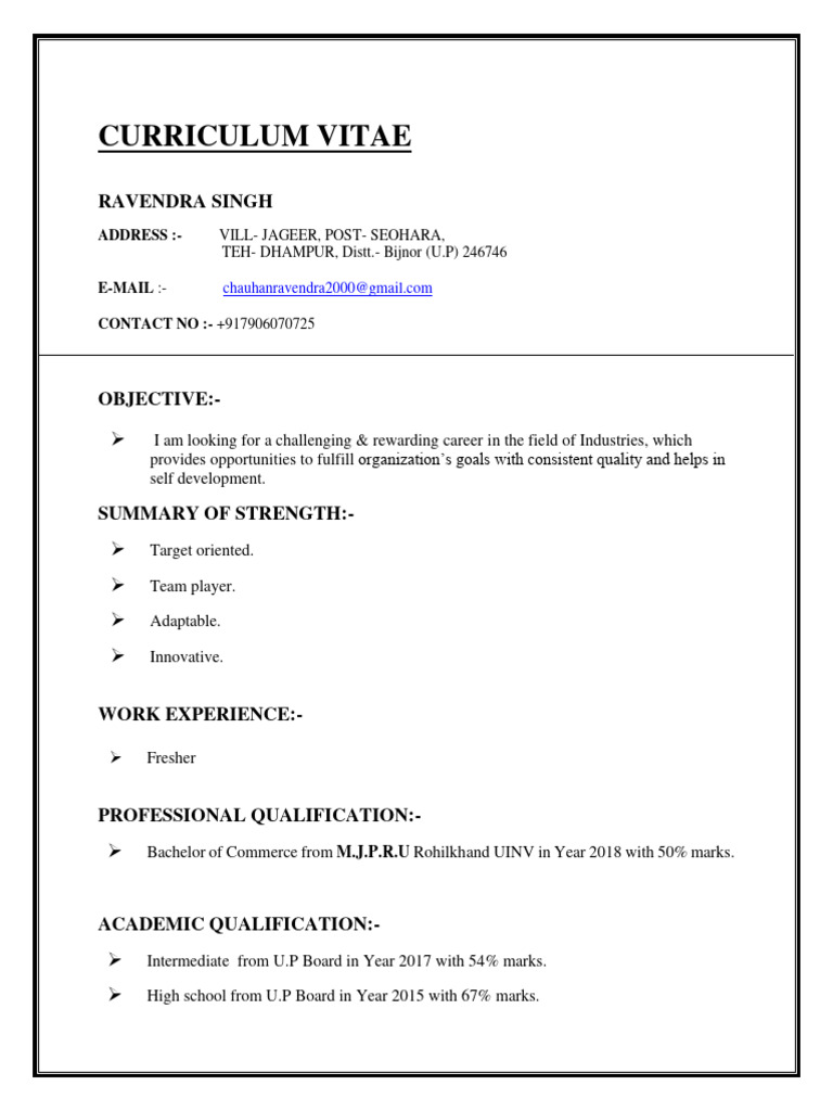 Ravendra Resume (1) - 1 | PDF | Career & Growth | Business