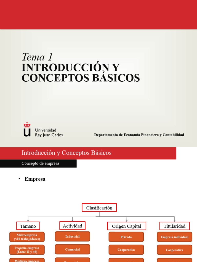 Tema 1 - Introduccion | PDF | Valor neto | Economias