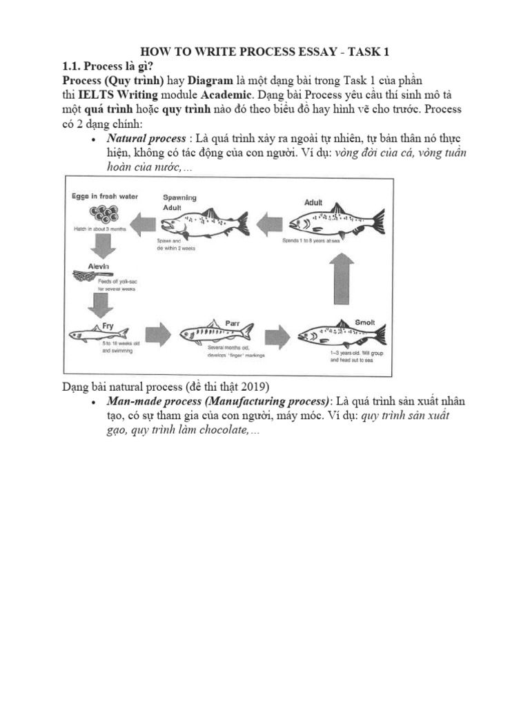 Process Writing | PDF